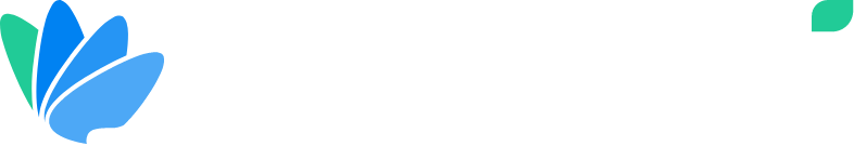 Moloni Pro Connector